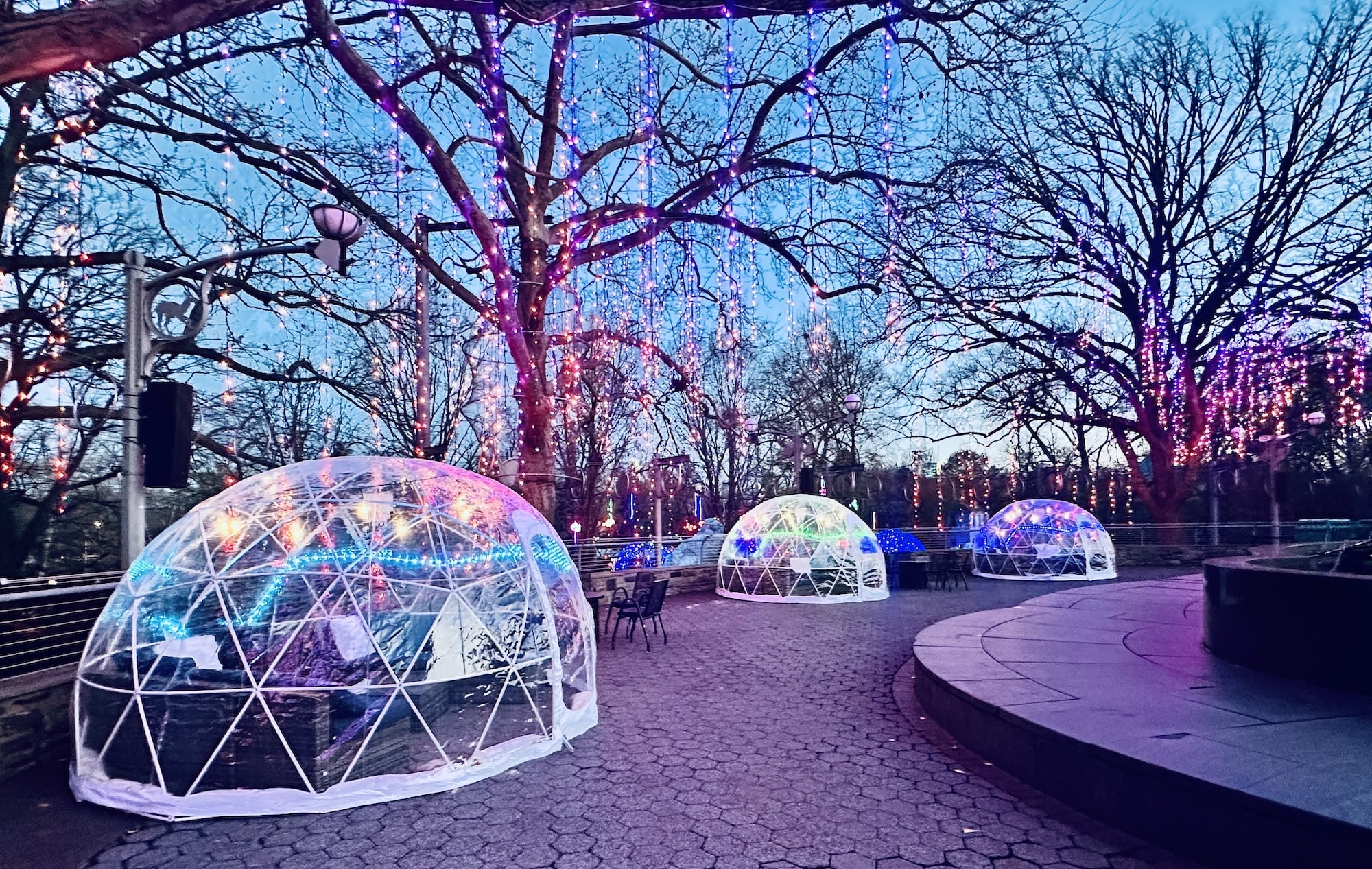 Long Island Igloos℠ | The Original Igloo Rental Experience in New York ...